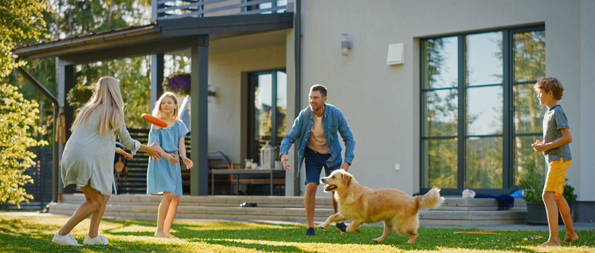Family Training - Kirsty's Pet Clinic